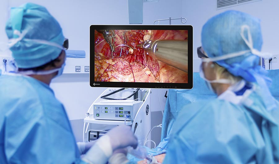 Full Range of Display Solutions for Endoscopy Systems